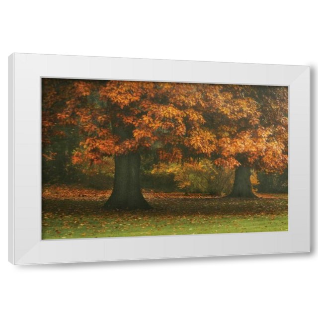 Vitaly Geyman 14x11 White Modern Wood Framed Wall Art Titled - Red Oak ...