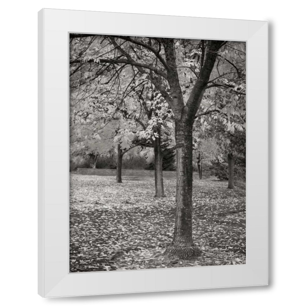 Vitaly Geyman 14x18 White Modern Wood Framed Wall Art Titled - Fall ...