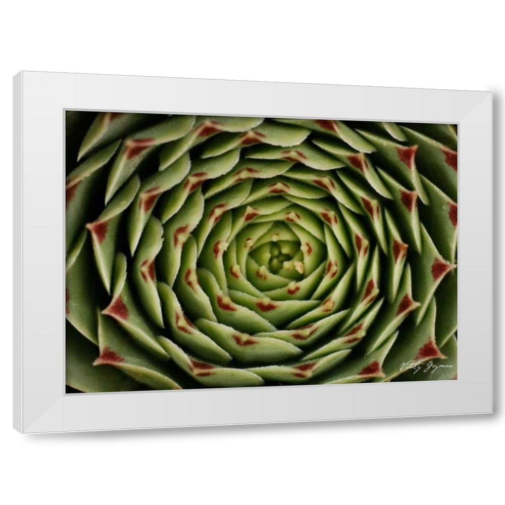 Vitaly Geyman 24x19 White Modern Wood Framed Wall Art Titled - Floral ...