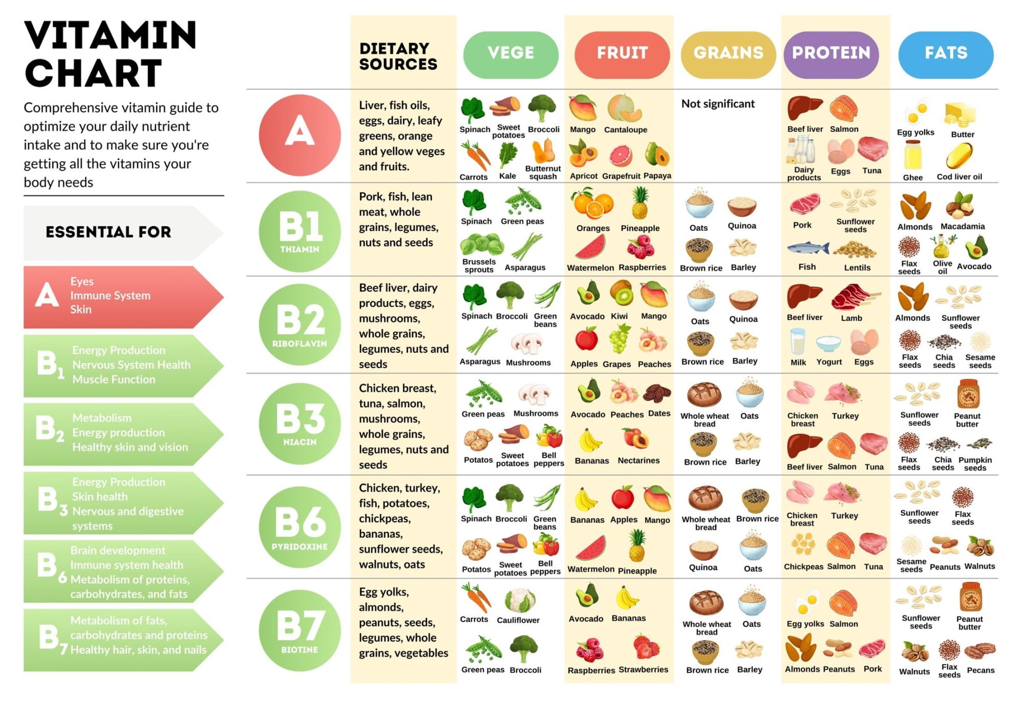 Vitamin Chart, Healthy Diet Reference Guide Poster, Essential Nutrients ...