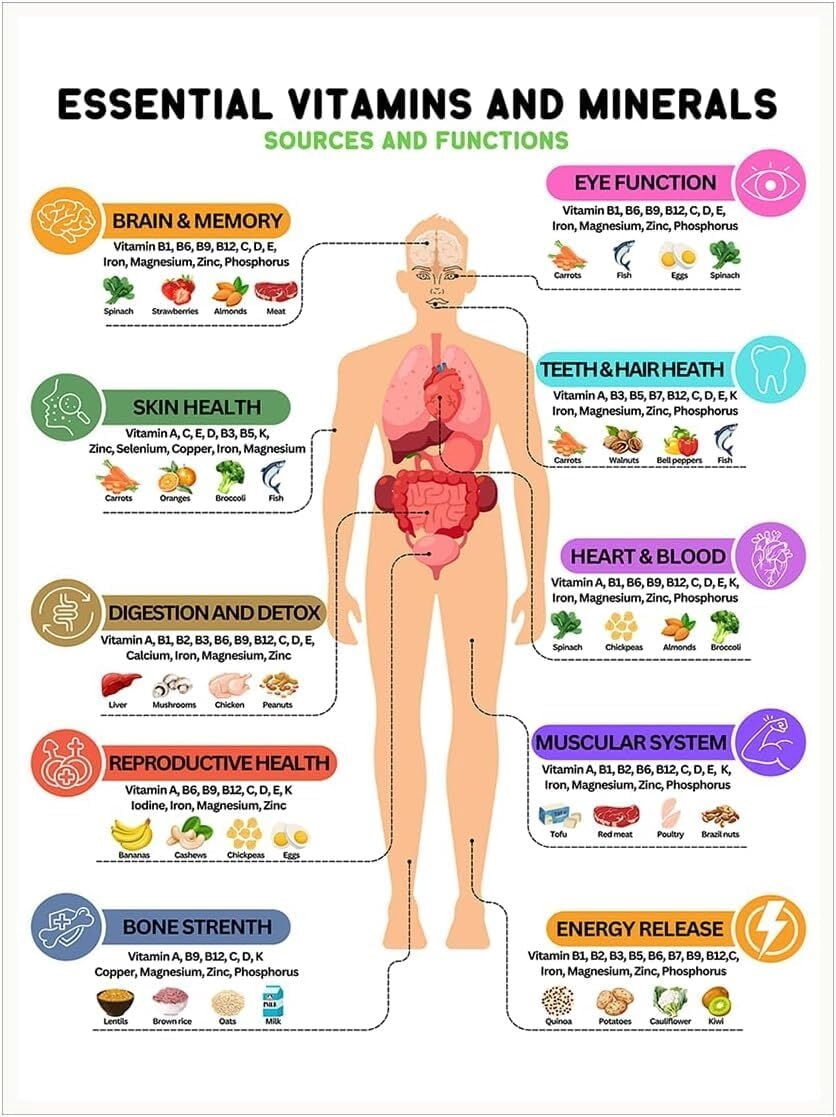 Vitamins and Mineral Chart Sheet Nutrition Facts Food List, Essential ...