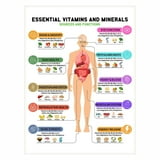 Vitamins and Mineral Chart Sheet Nutrition Facts Food List, Essential ...