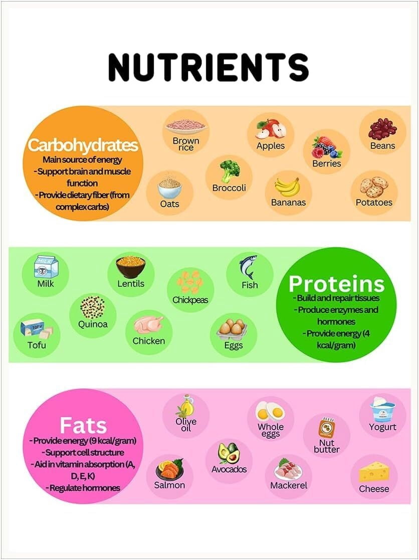 Vitamins and Minerals Chart Postereducational Nutrition Guide for ...