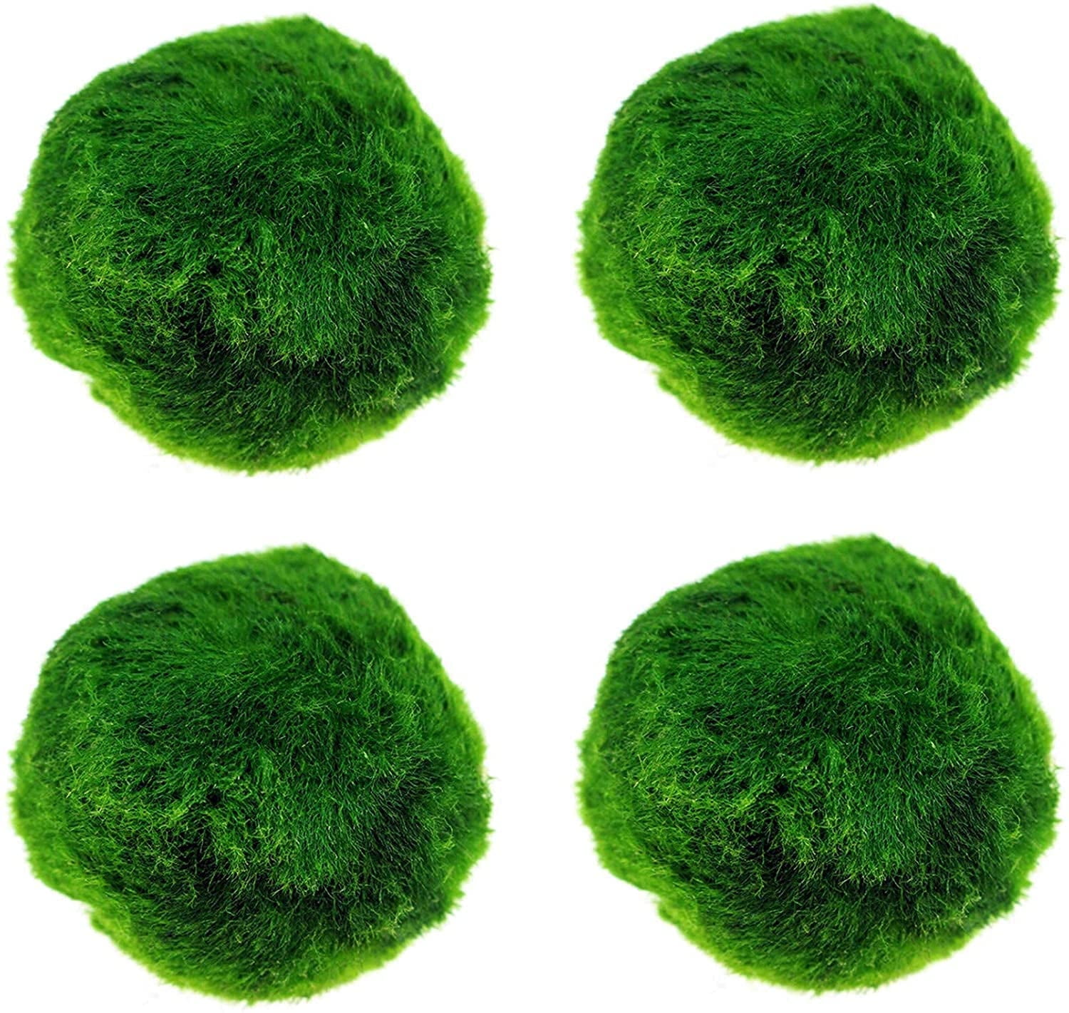 Vitdipy Moss Balls, Aquarium Decorations, Freshwater Terrarium Moss ...