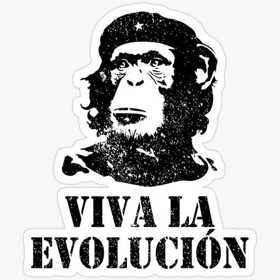 Viva La Evolucion! Sticker Phone Decal Water Bottle Stickers Car Decals ...