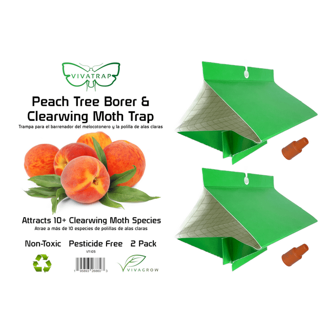 VivaTrap! VT-105 Peach Tree Borer + Clearwing Moth Trap & Lure (2 Pack ...