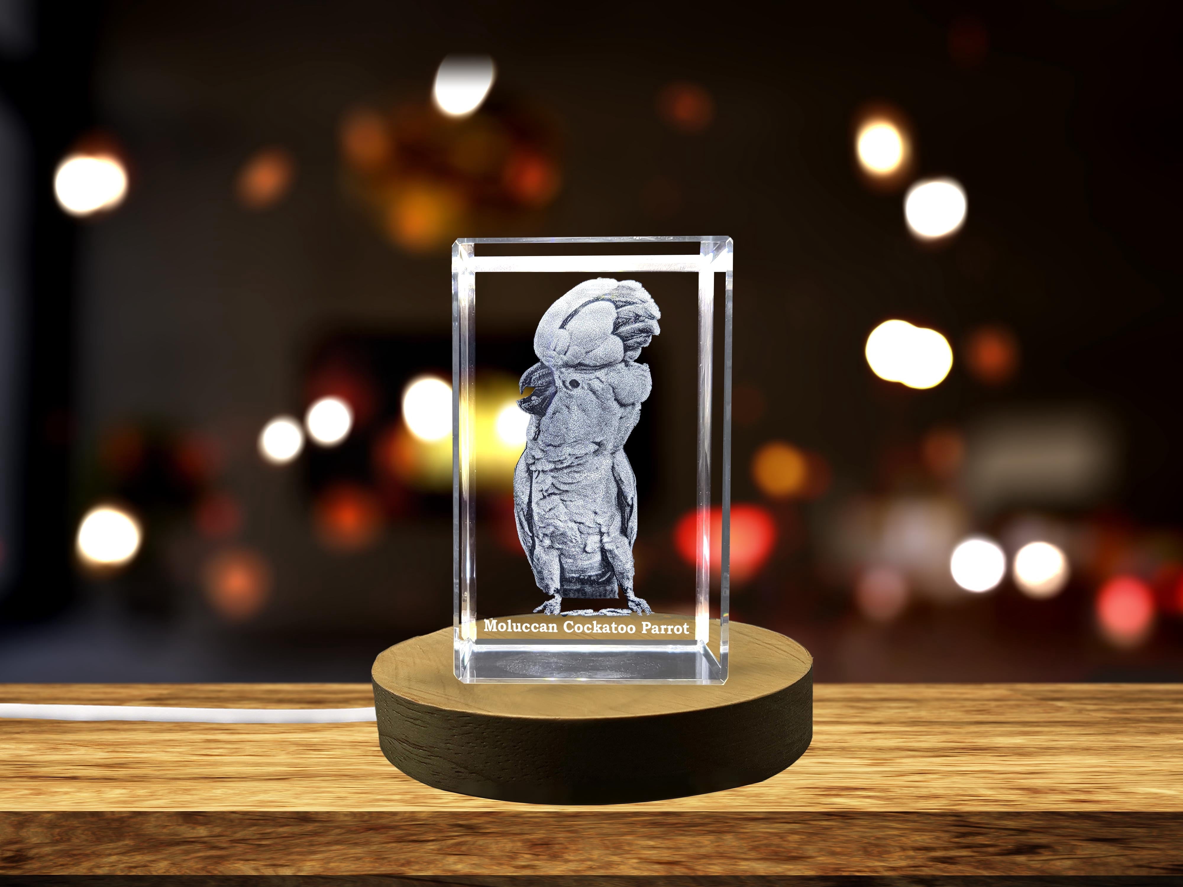 Vivacious Crystal Moluccan Cockatoo Sculpture - A Feathered Masterwork ...