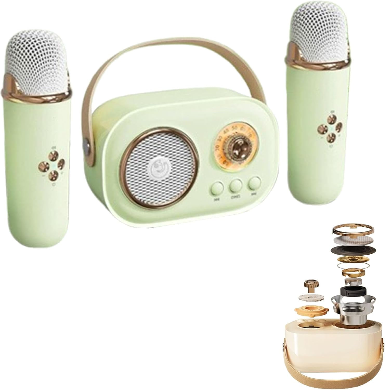 Vivamic Portable Karaoke Fun Set, Mini Karaoke Machine with Microphone ...