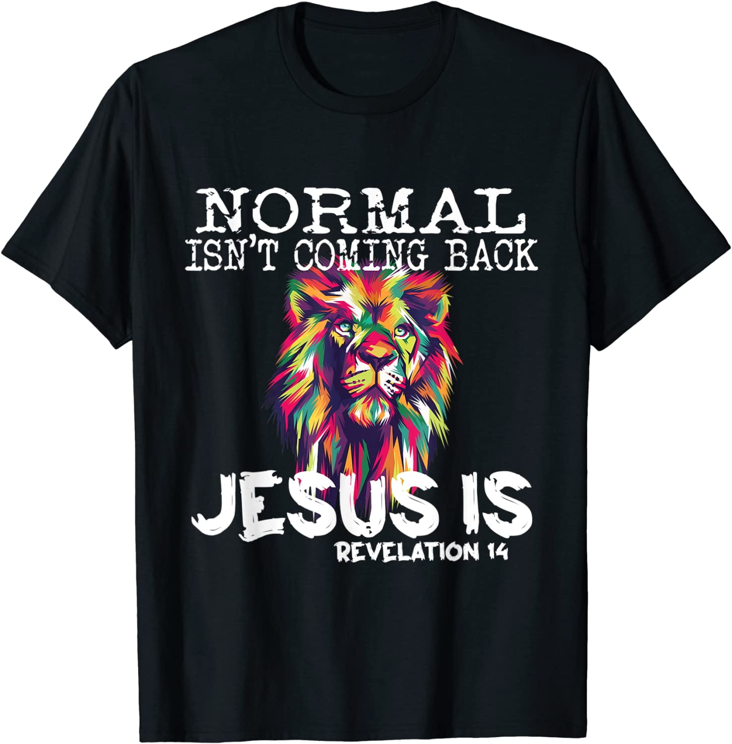 Vivay Normal Isnt Coming Back Jesus Is T-Shirt - Walmart.com