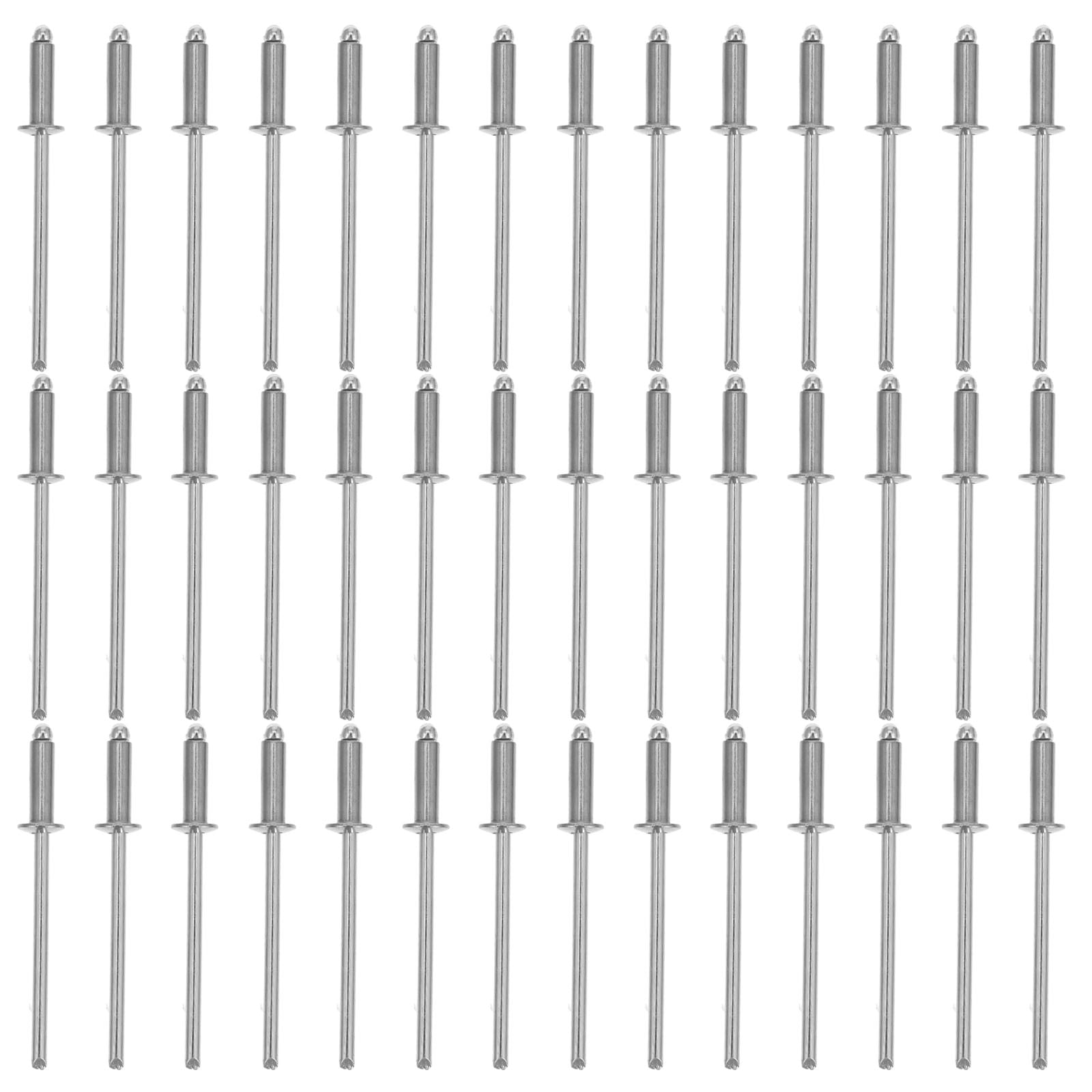 Viveous 50 Pcs Stainless Steel Blind Rivets Dome Head Electrical Screws ...