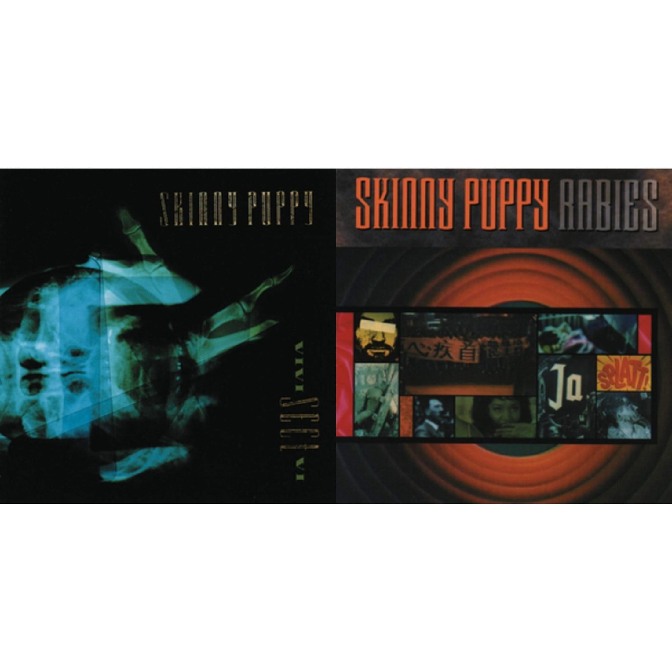 Vivi Sect Vi & Rabies [LP Vinyl Bundle] - Walmart.com