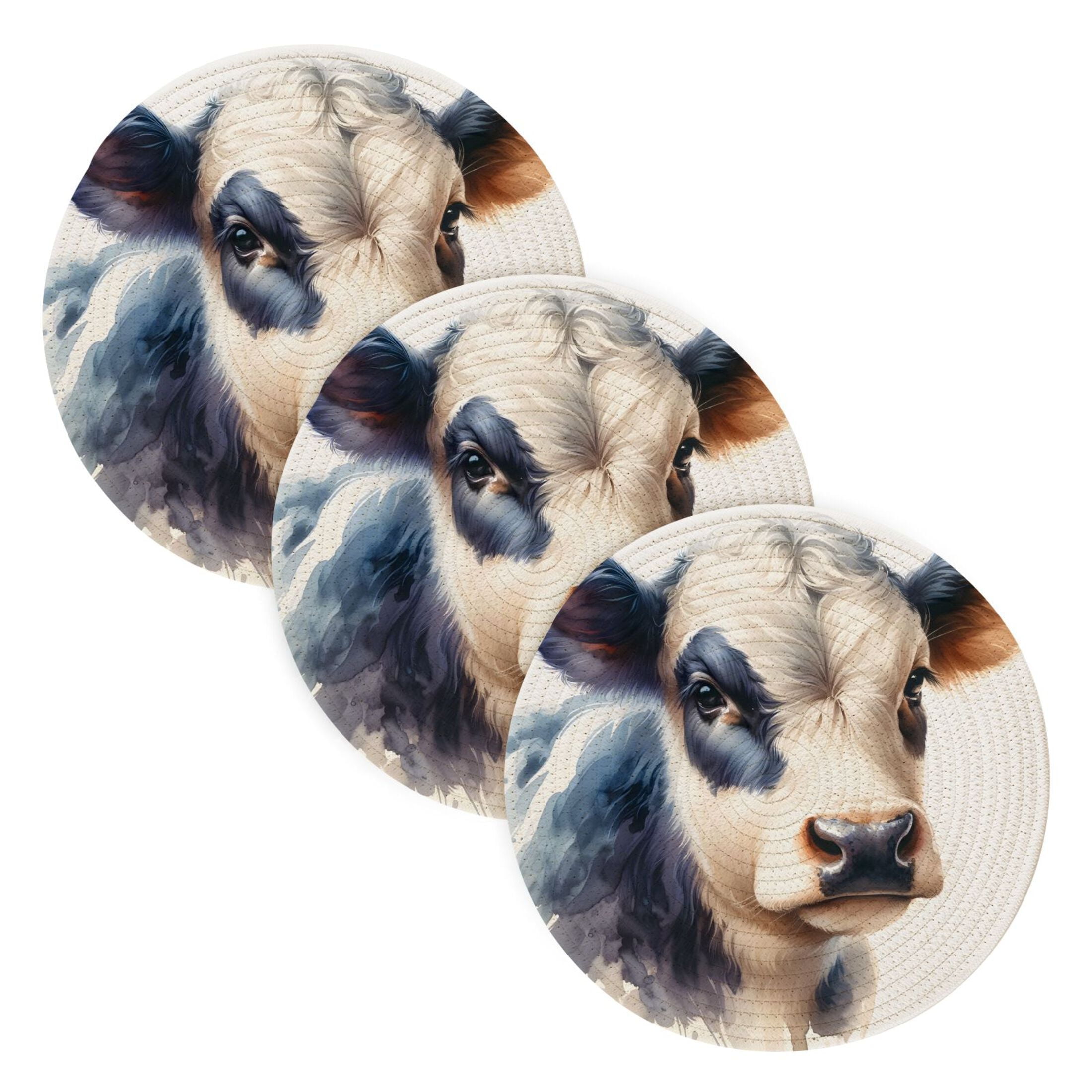 Vivid Cattle 3 Pcs Pot Holders Trivets Set Woven Heat-Resistant Kitchen ...