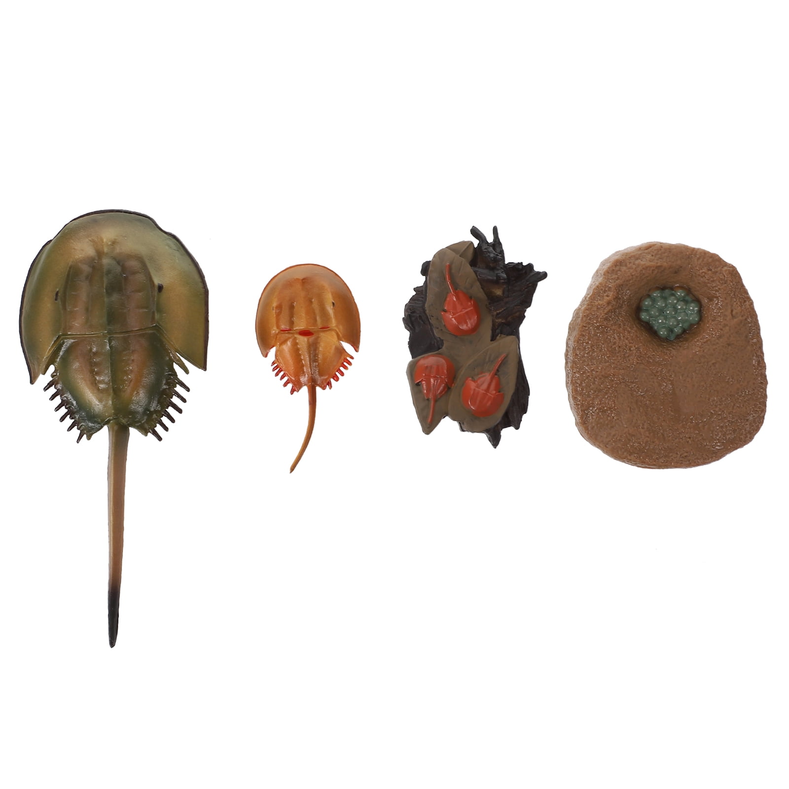 Vivid Horseshoe Crab Figure Sea Cycle Mini Animal Life Child - Walmart.com