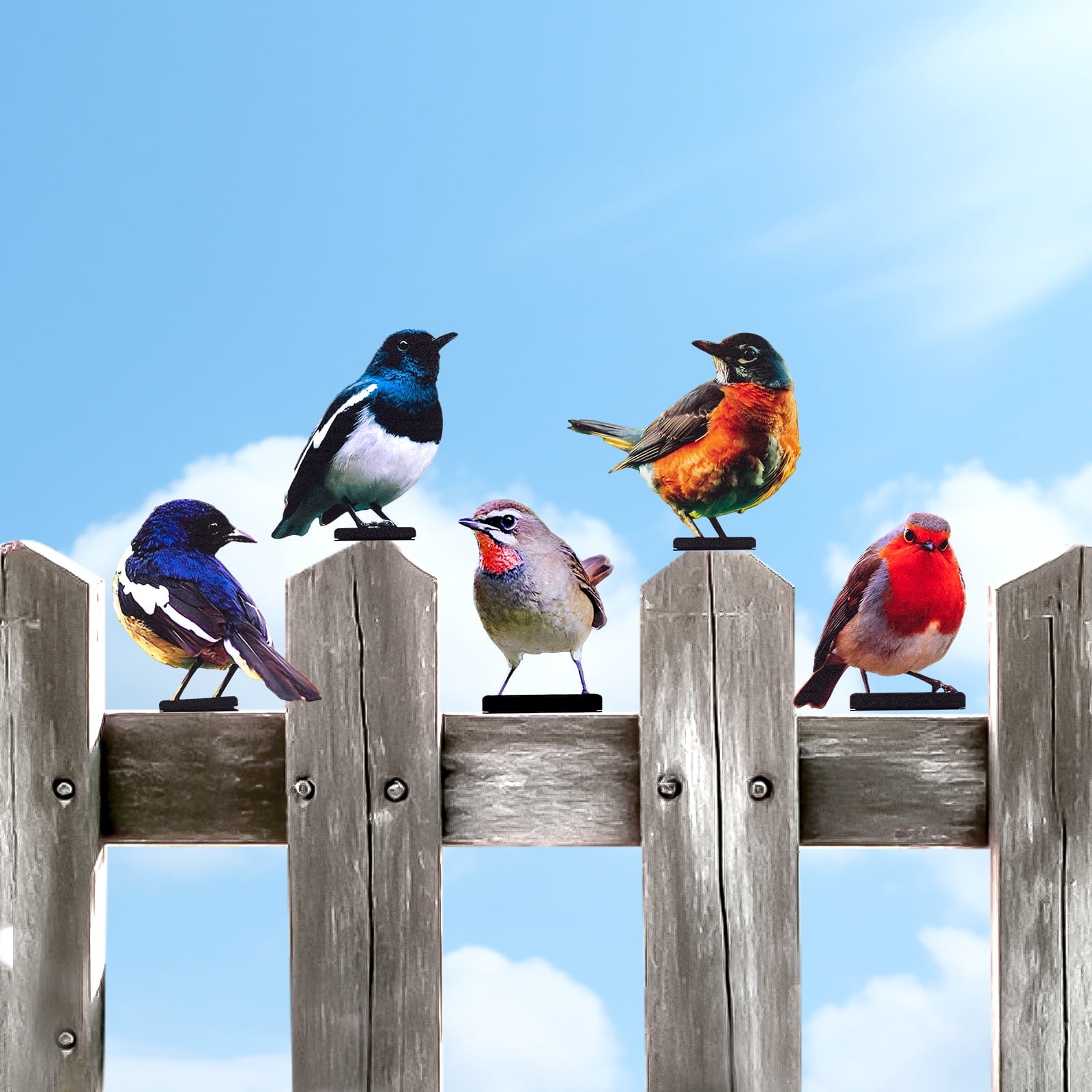 Vivid Metal Bird Fence Decor 5PCS Colorful Garden Decor for Outdoor ...