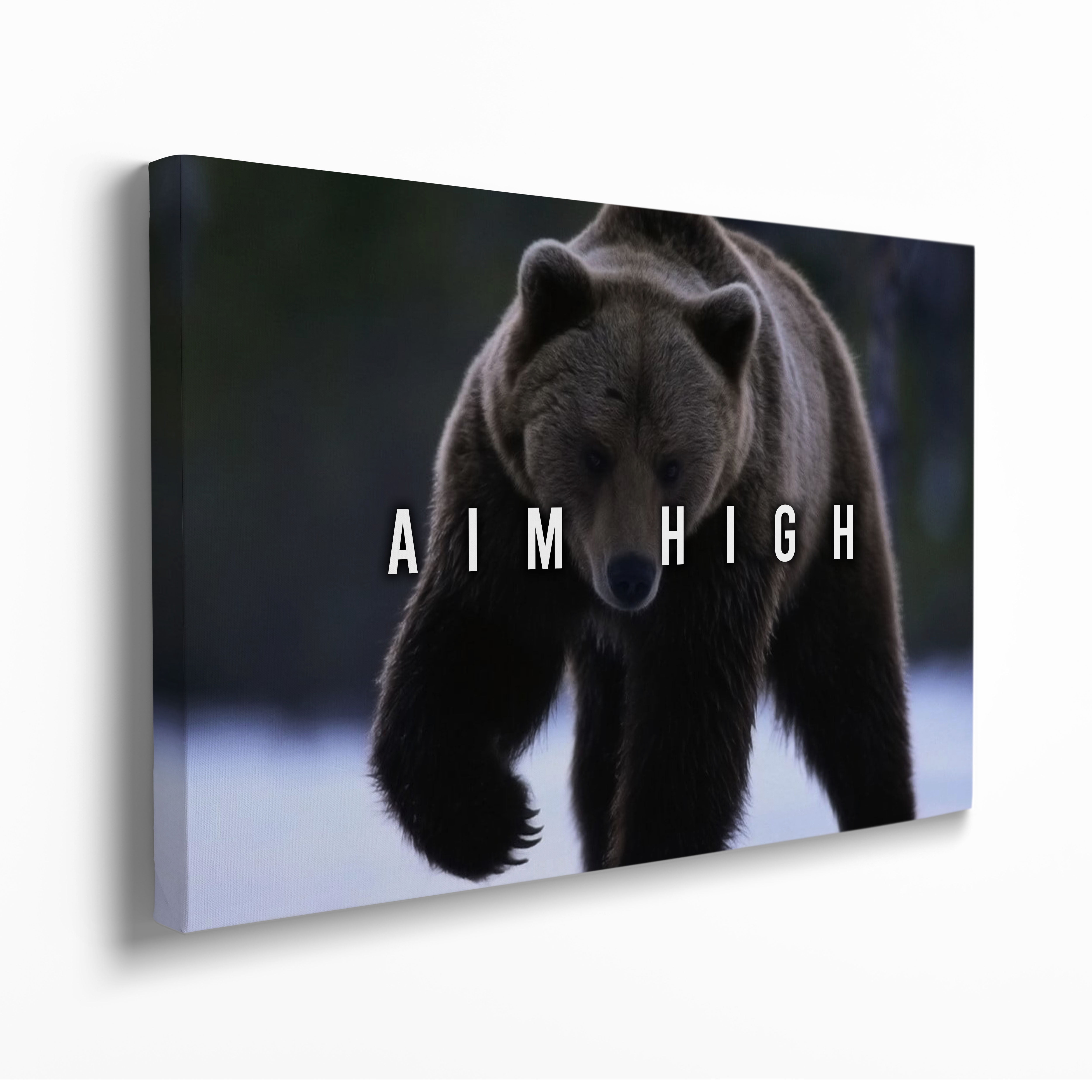 Vivid Pixel Aim High Canvas Wall Decor, Wall Art, Office Decor 18x24in ...