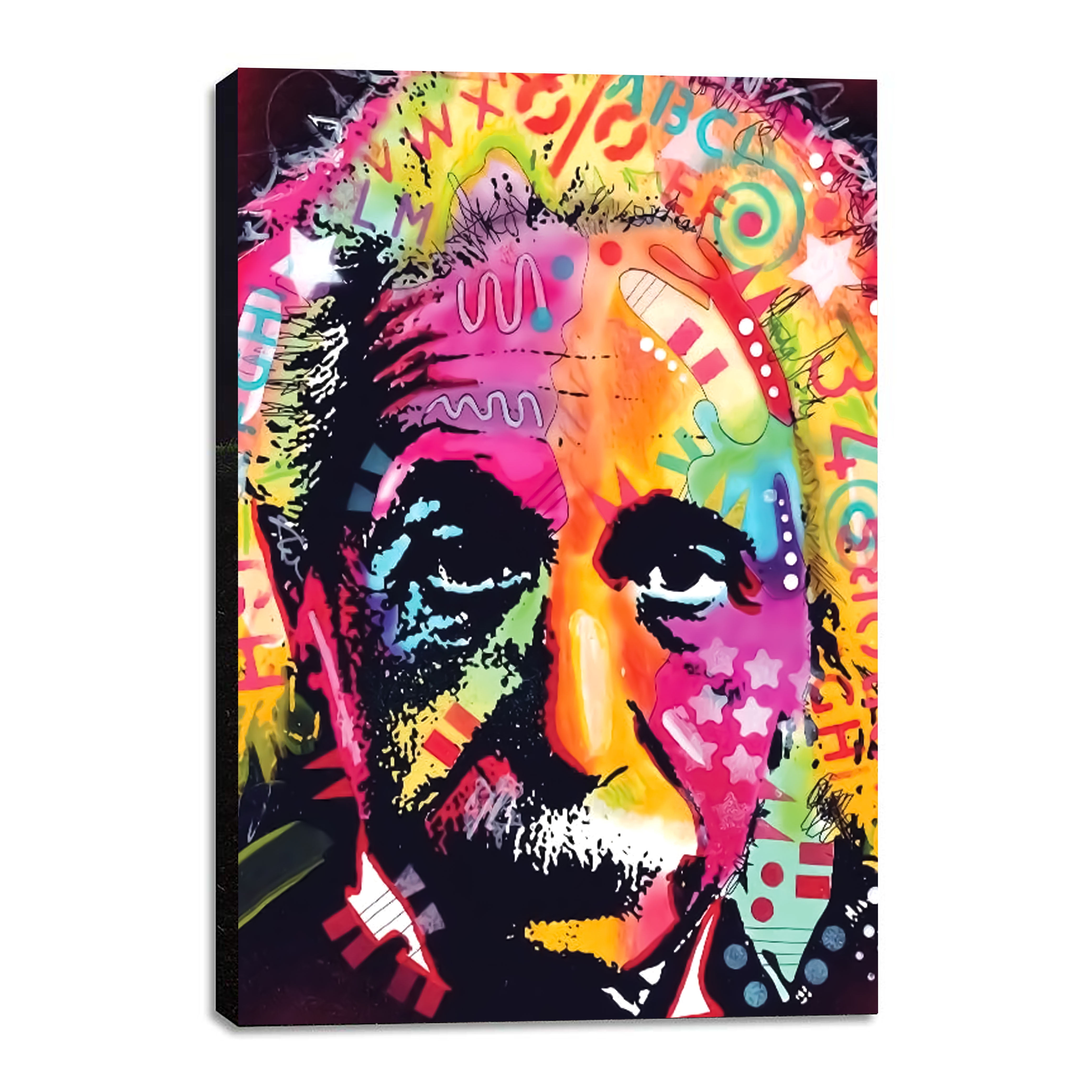 Vivid Pixel Einsteins Canvas Wall Decor, Wall Art, Office Decor 24x36in ...