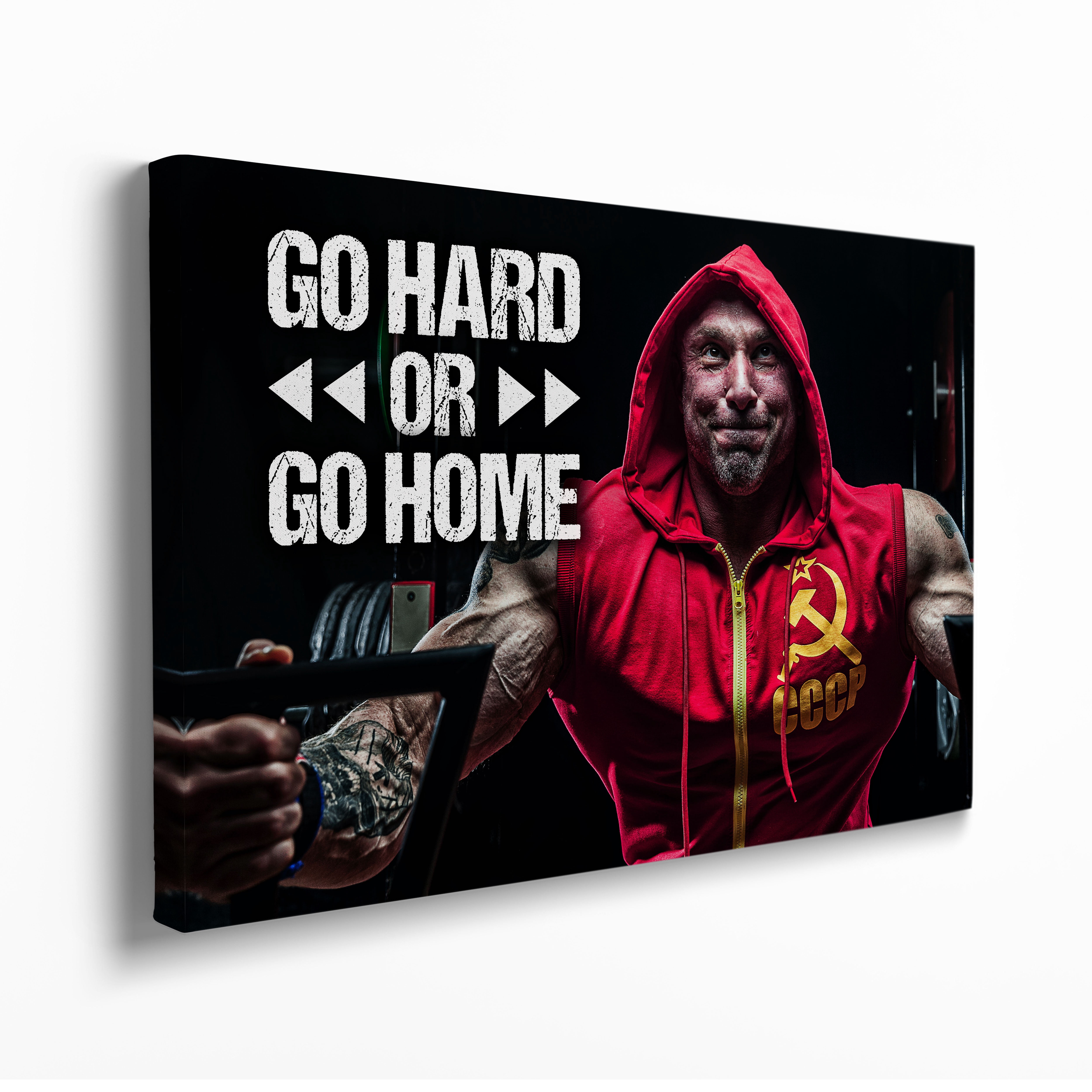 Vivid Pixel Go Hard O Canvas Wall Decor, Wall Art, Office Decor 16x20in ...
