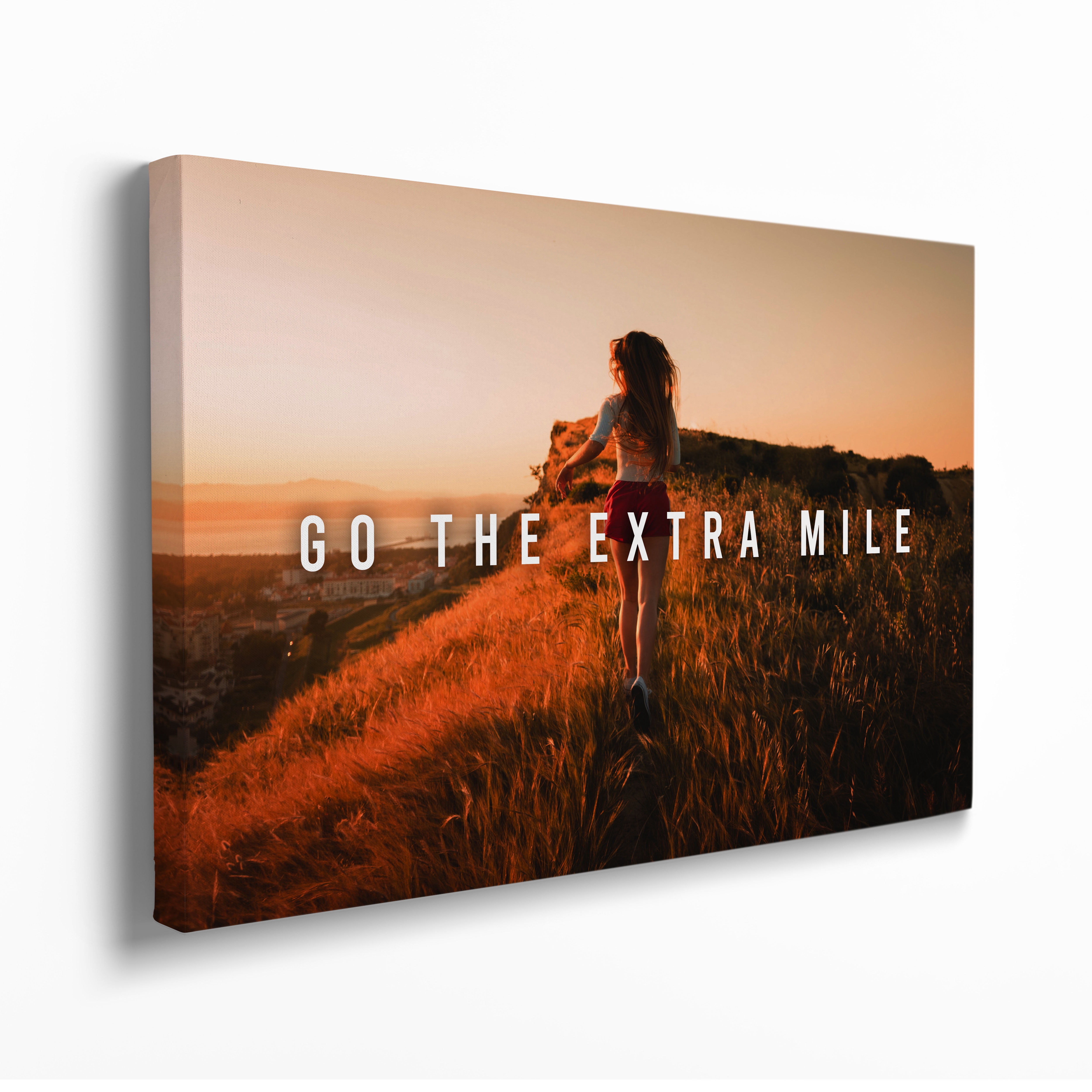Vivid Pixel Go The Ex Canvas Wall Decor, Wall Art, Office Decor 16x20in ...