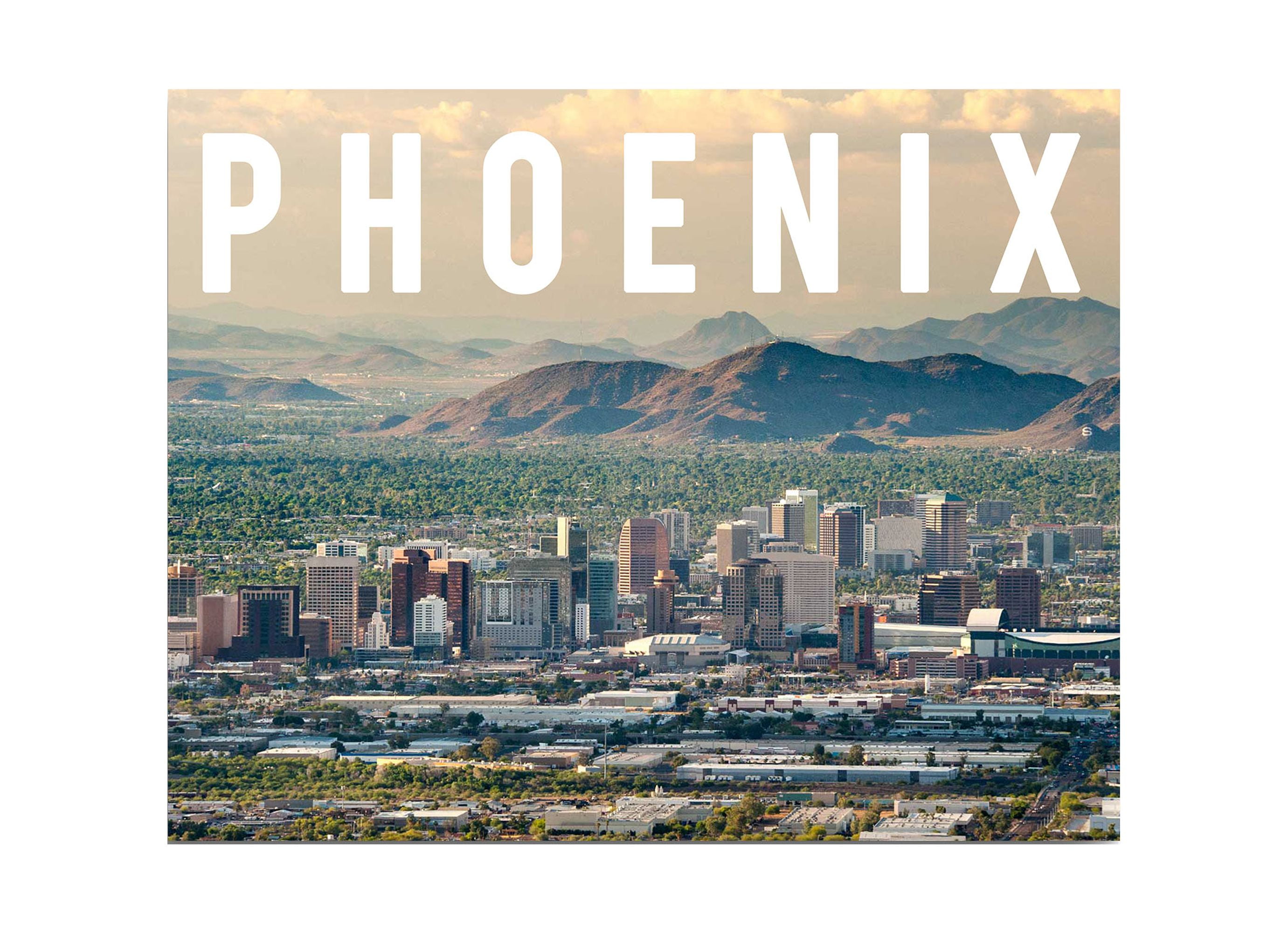 Vivid Pixel Phoenix Canvas Wall Decor, Wall Art, Office Decor 12x18in ...