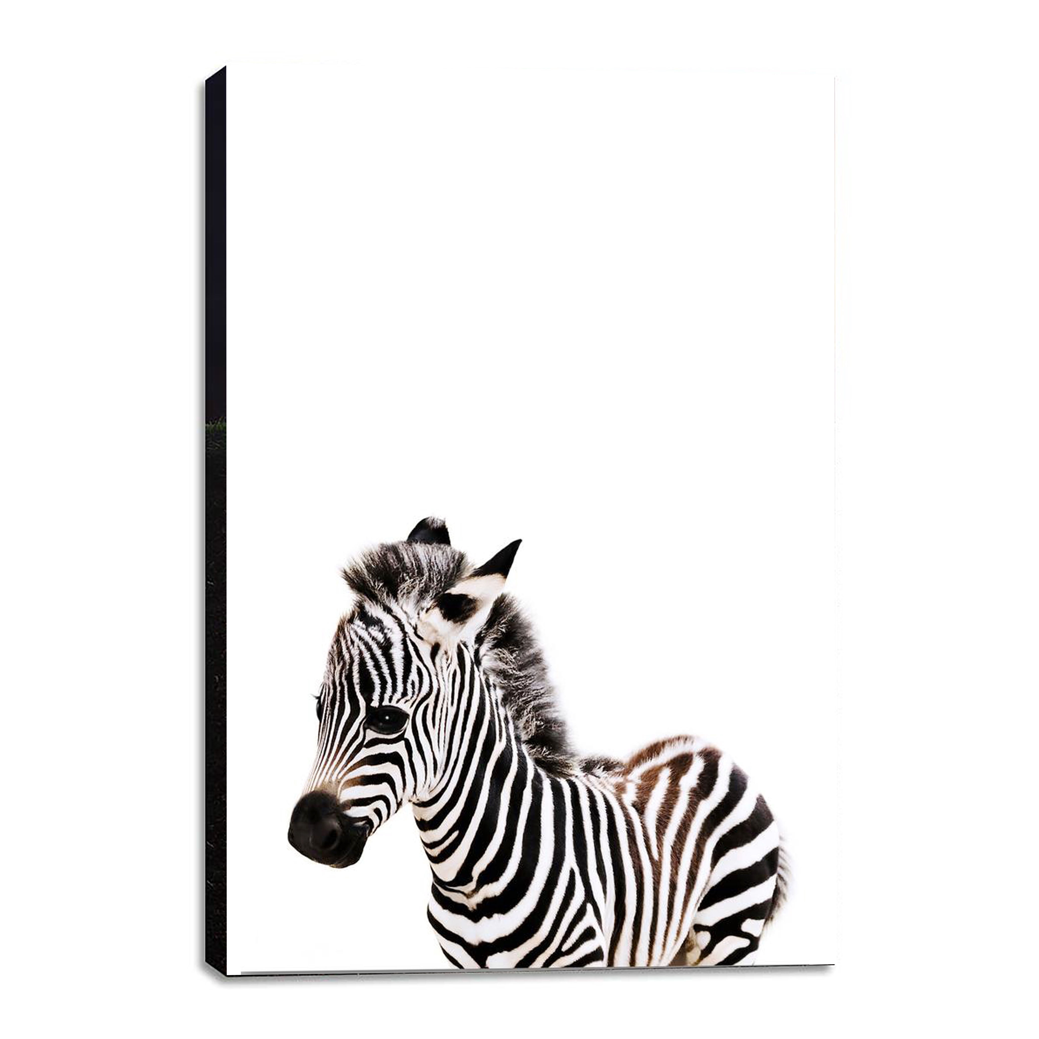 Vivid Pixel Side Zebr Canvas Wall Decor, Wall Art, Office Decor 18x24in ...