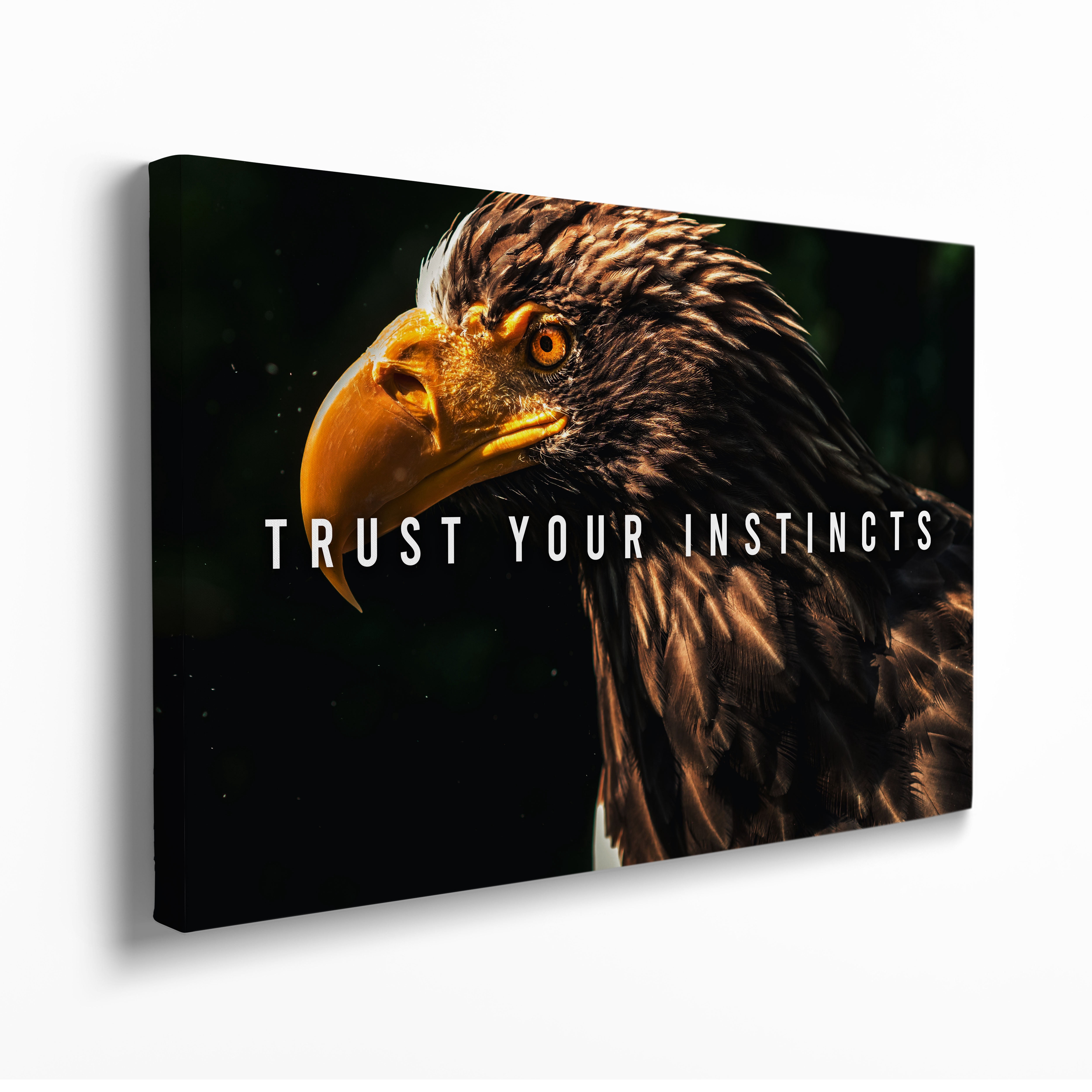 Vivid Pixel Trust You Canvas Wall Decor, Wall Art, Office Decor 16x20in ...