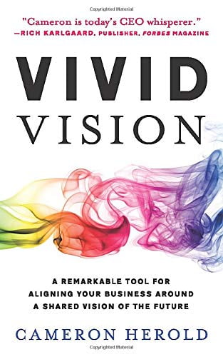 Pre-Owned Vivid Vision: A Remarkable Tool For Aligning Your Business ...