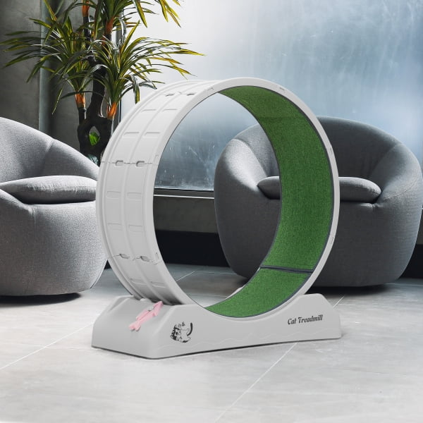 Vivifying Cat Exercise Wheel for Indoor Cats, Diameter Cat Runing Wheel ...