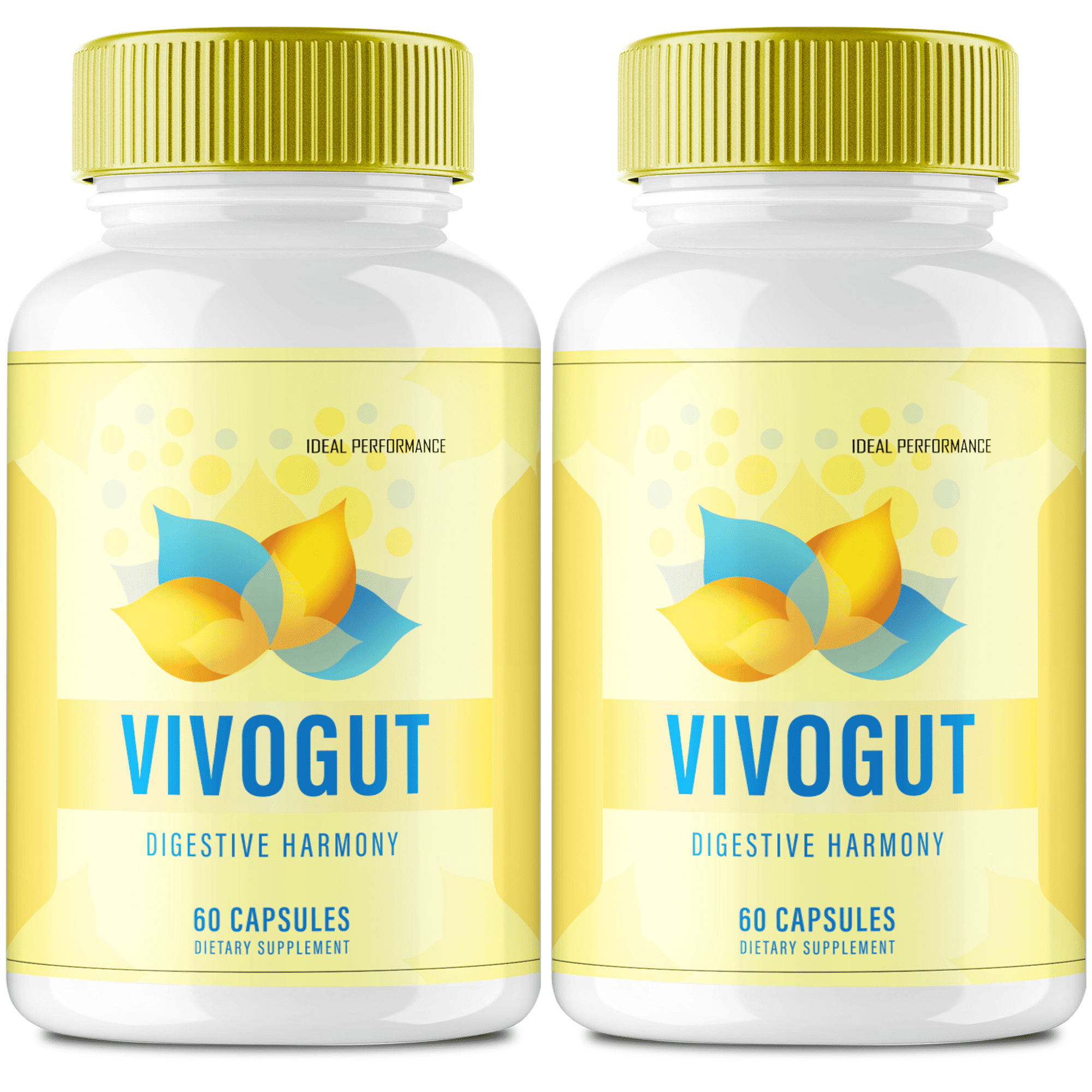 VivoGut Blood Capsules, Official Vivo Gut Blood Formula Support ...