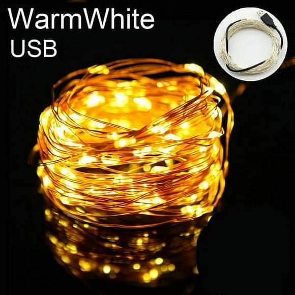 Micro Led String Lights Plug