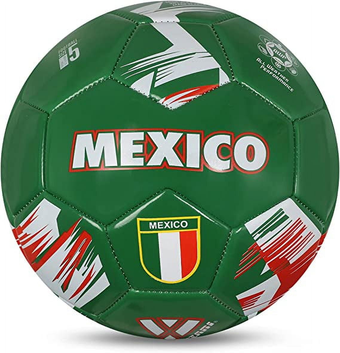 VIZARI Mini National Team Soccer Balls - Choose from 8 Teams - Fan ...
