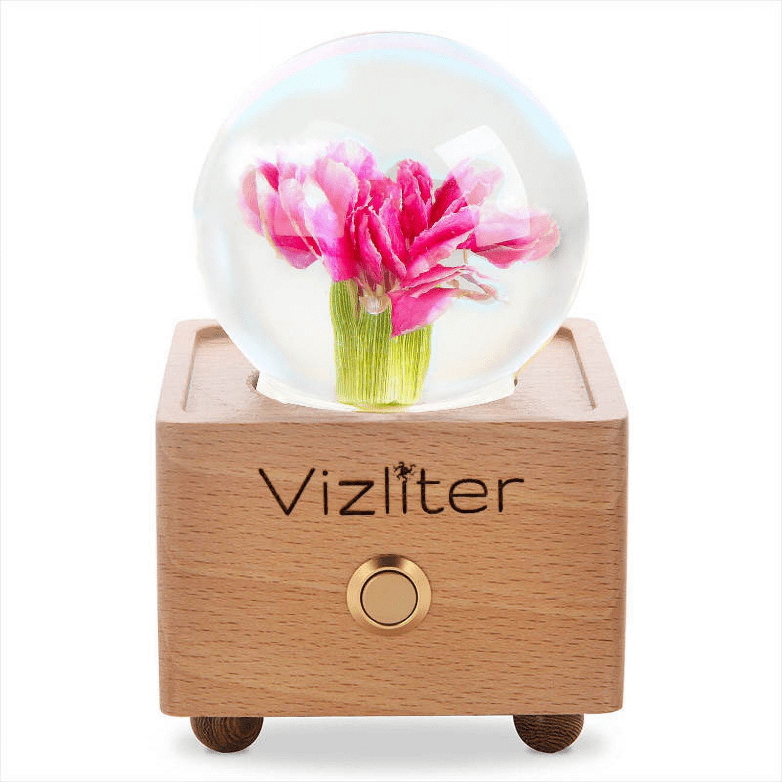 Vizliter Bluetooth Speaker Crystal Ball LED Lighting Preserved Fresh ...