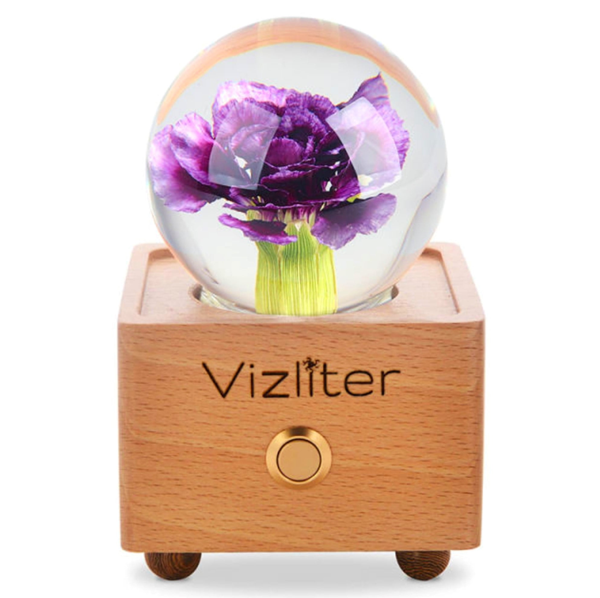 Vizliter Bluetooth Speaker Crystal Ball LED Lighting Preserved Fresh ...