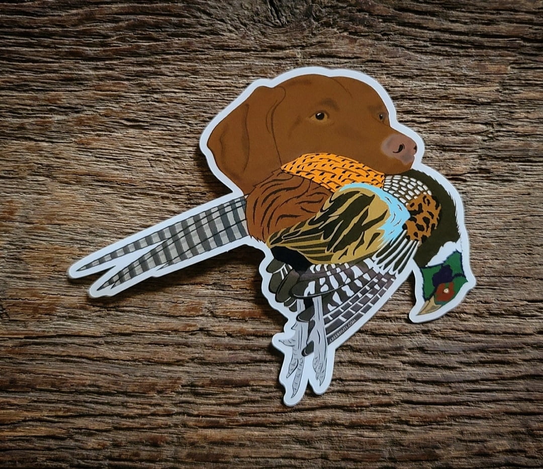 Vizsla with Pheasant Sticker Decal - Walmart.com