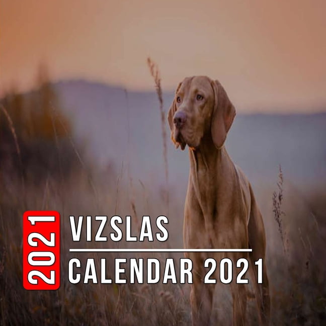 Vizslas Calendar 2021 : 12-month mini Calendar from Jan 2021 to Dec ...