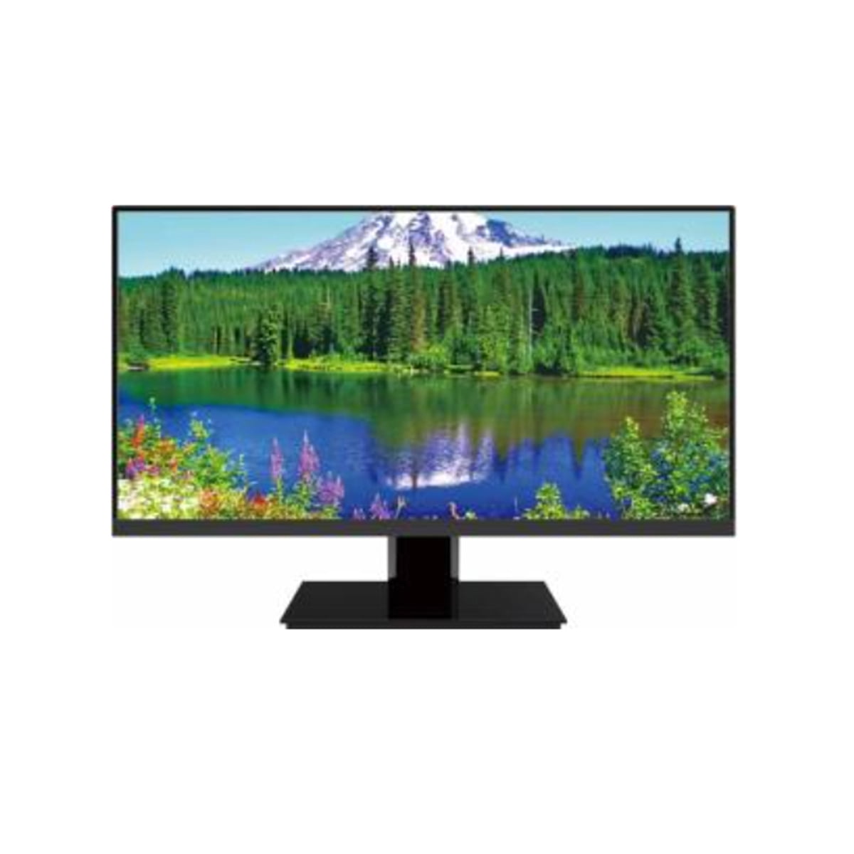 Vizta 24 Full HD IPS Monitor with 100Hz Refresh Rate - Walmart.com