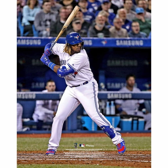 Vladimir Guerrero Jr Bat