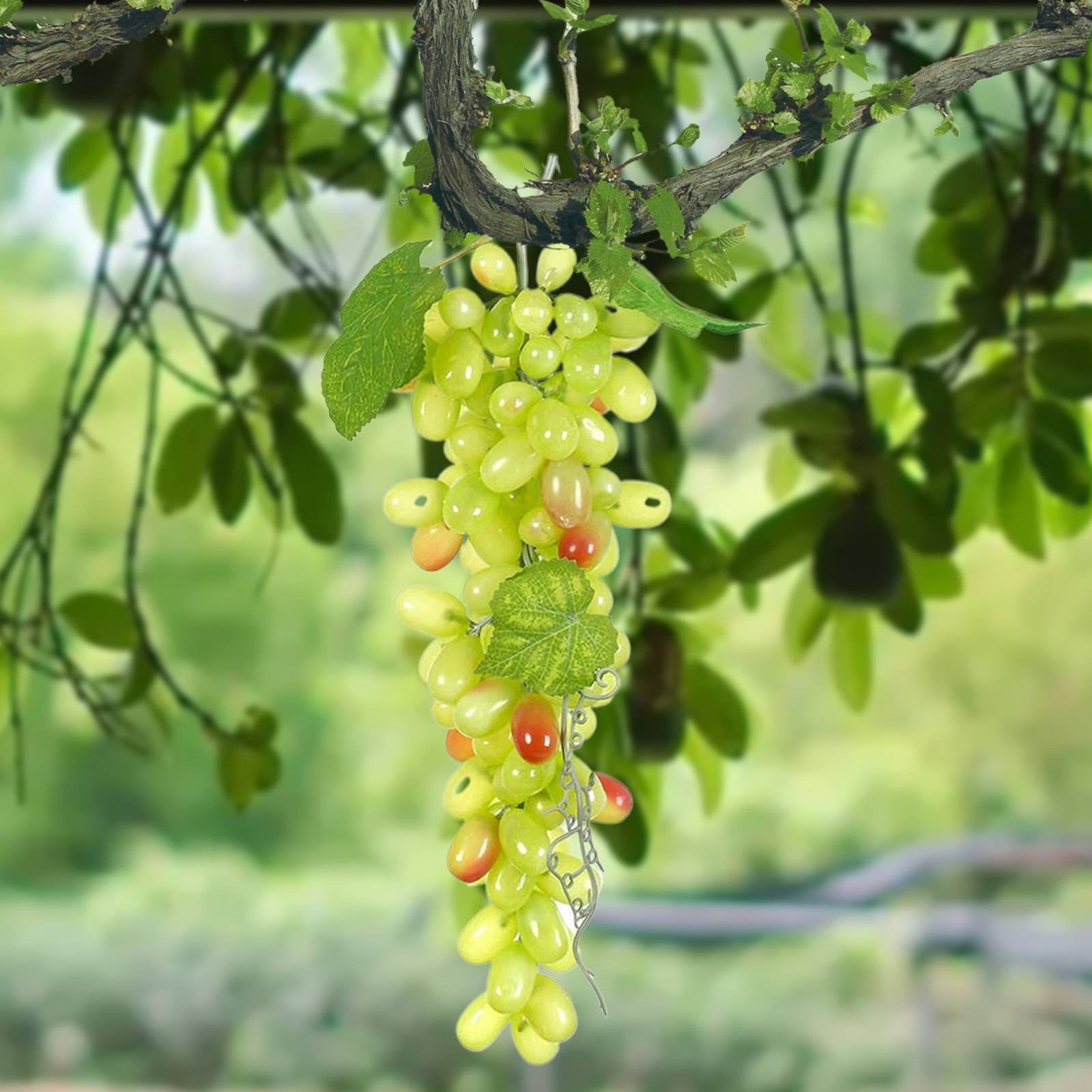 VogueV Mini Artificial Grapes Bunch, Lifelike Pvc Fruit for Kitchen ...
