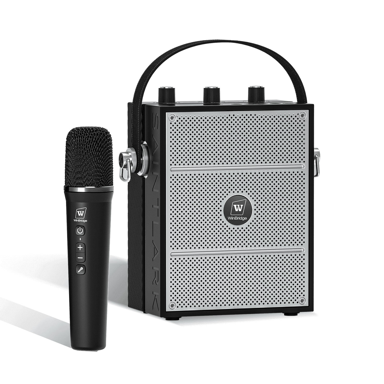 Wireless Voice Amplifier with Handheld Microphone, Portable Bluetooth ...