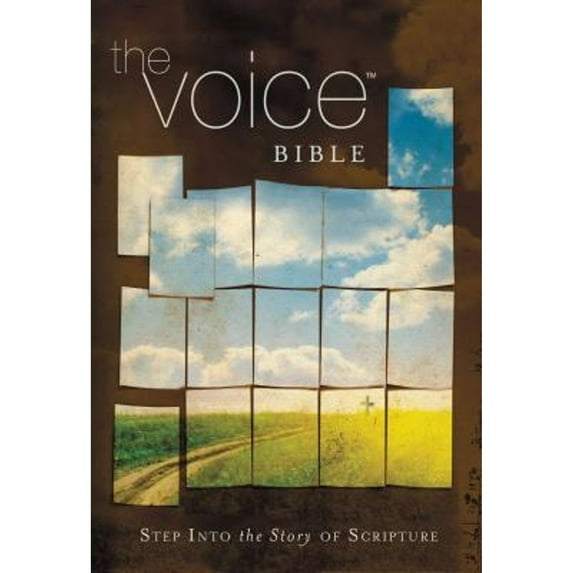 Pre-Owned Voice Bible-VC: Step Into the Story of Scripture (Hardcover) 1418549010 9781418549015 ...