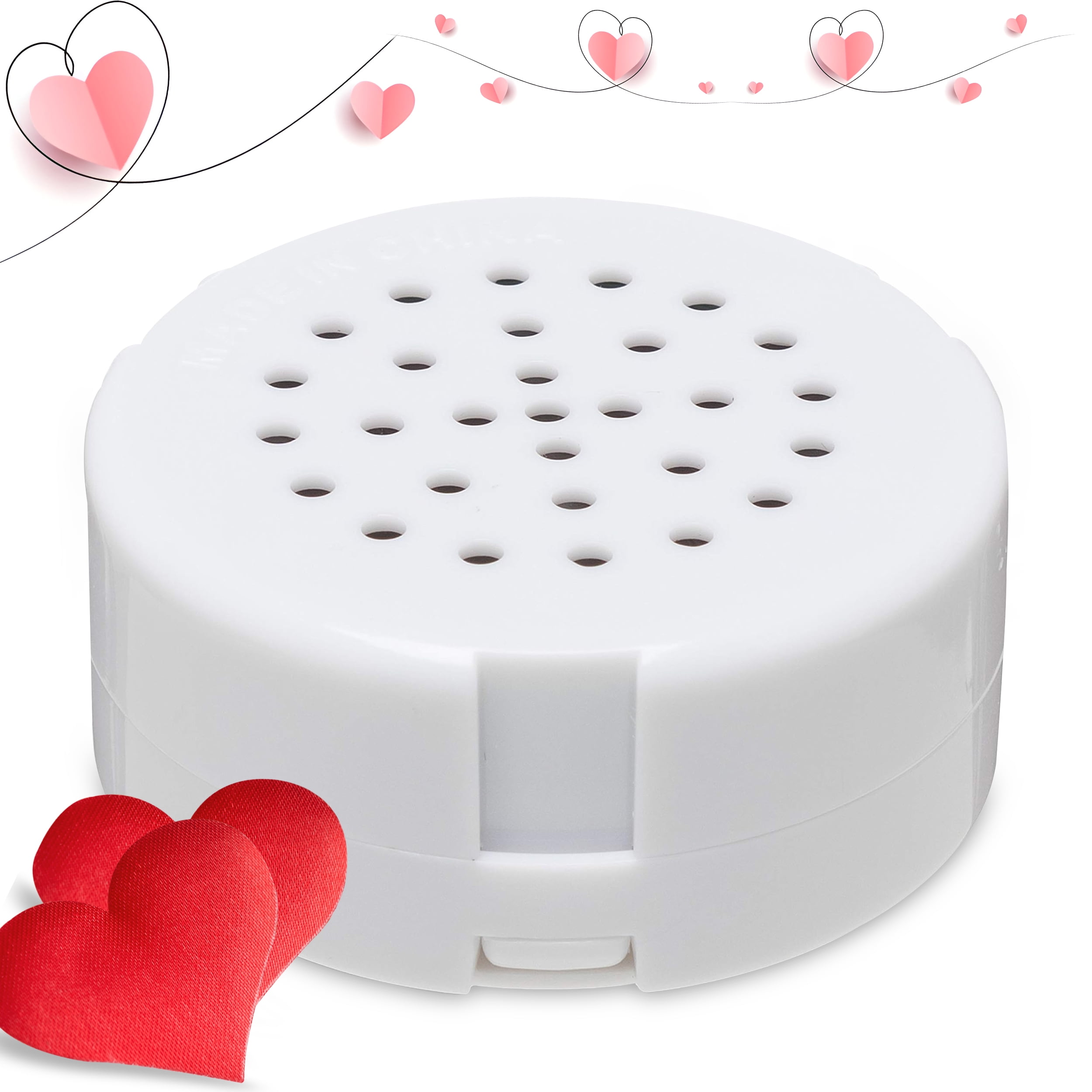 VoiceGift Mini-Me Recordable Sound Device for Toys, Dolls, Pillows, 60 ...