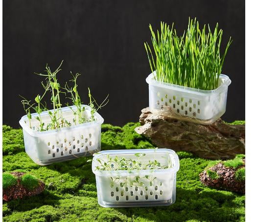 Voiceine 2pcs Sprouting Pots Nursery Pots Plants Starting Containers ...