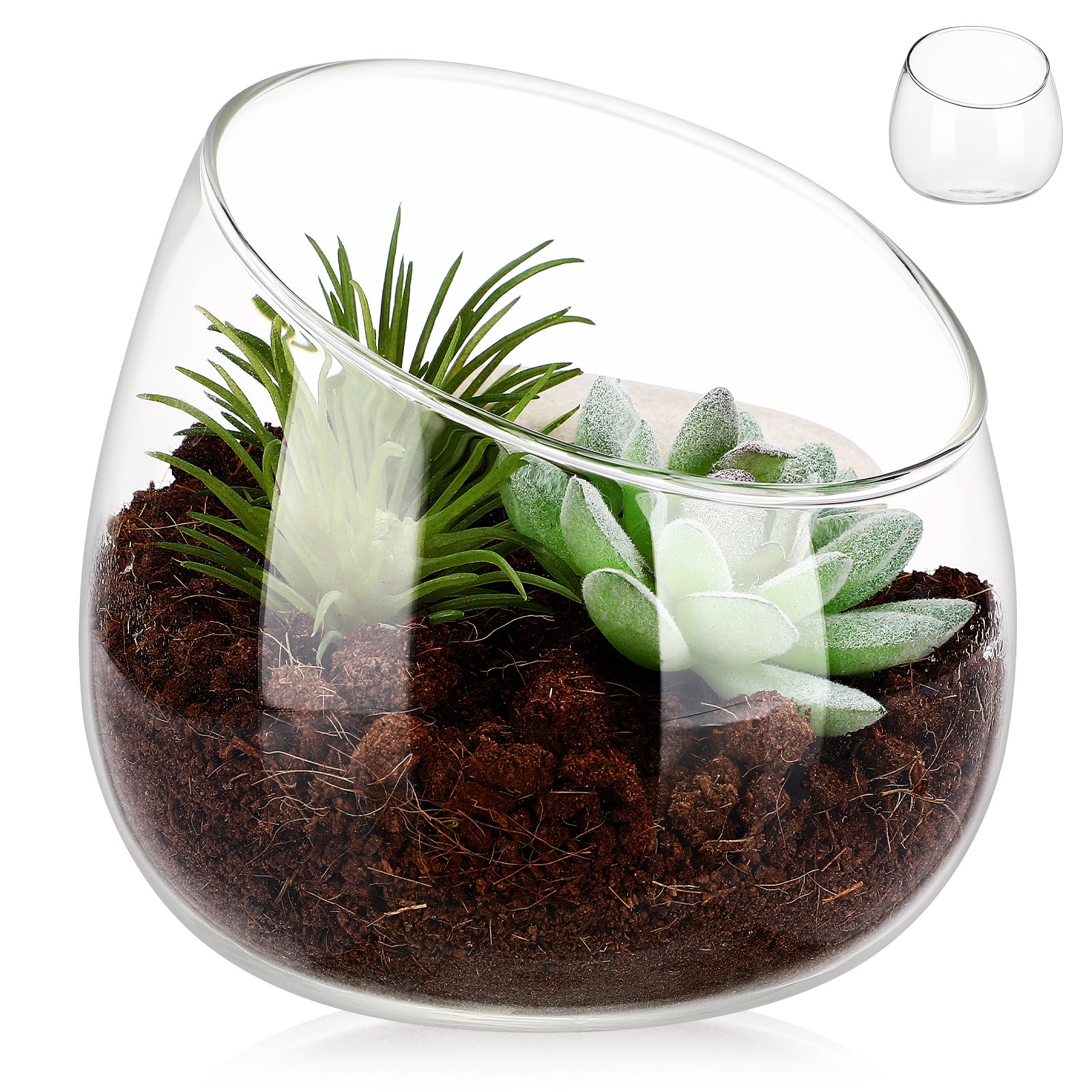 Voiceine Glass Flower Vase Round Terrarium Container Flower Planter ...