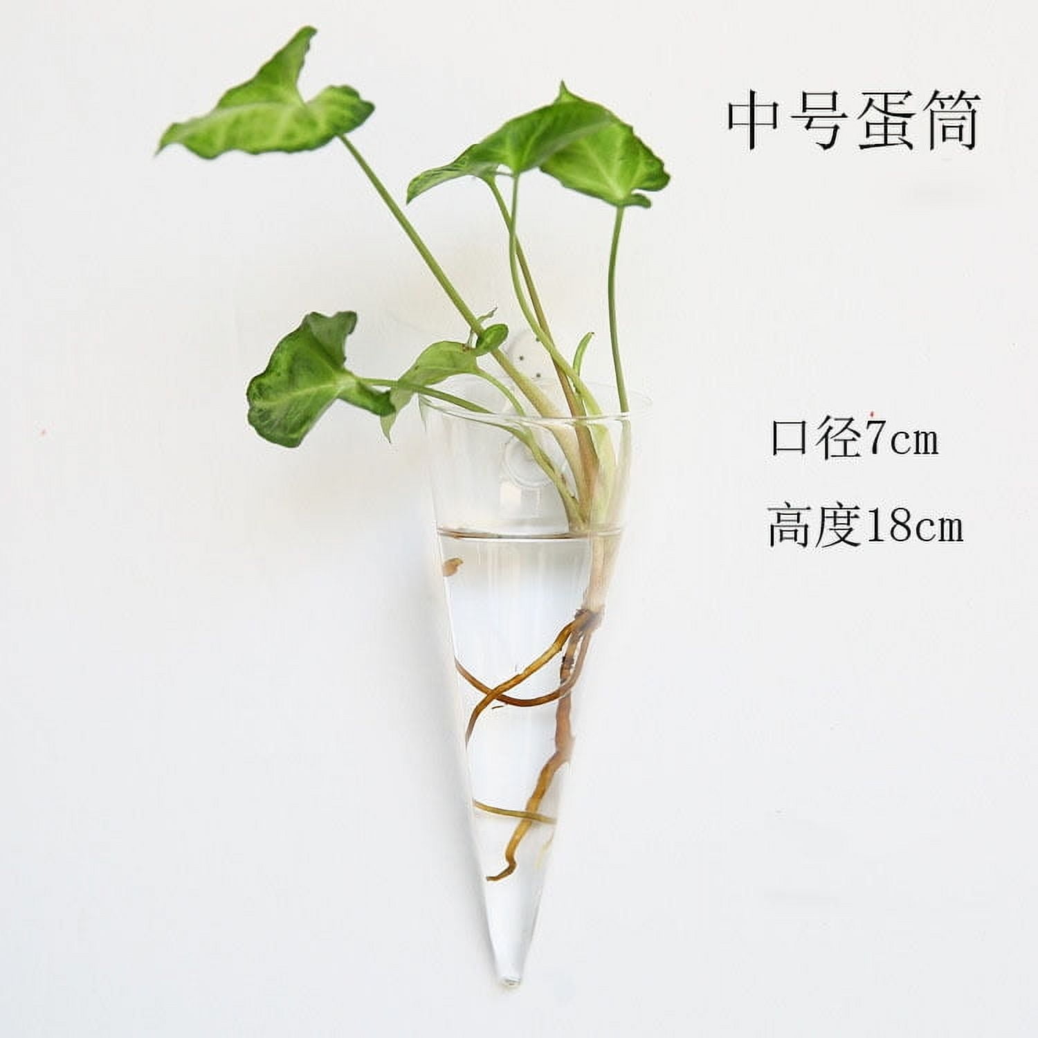 Voiceine Wall Hanging Glass Hydroponics Vase Clear Hanging Planter ...