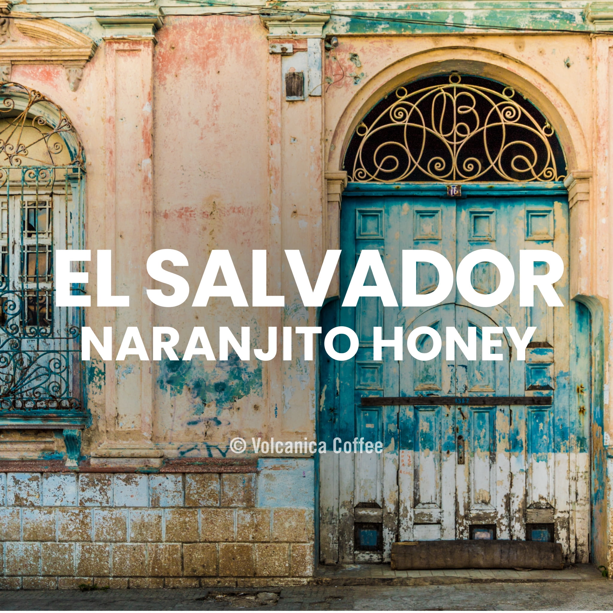 Volcanica Coffee El Salvador Coffee, Bourbon Honey, Finca Naranjito - 5 ...