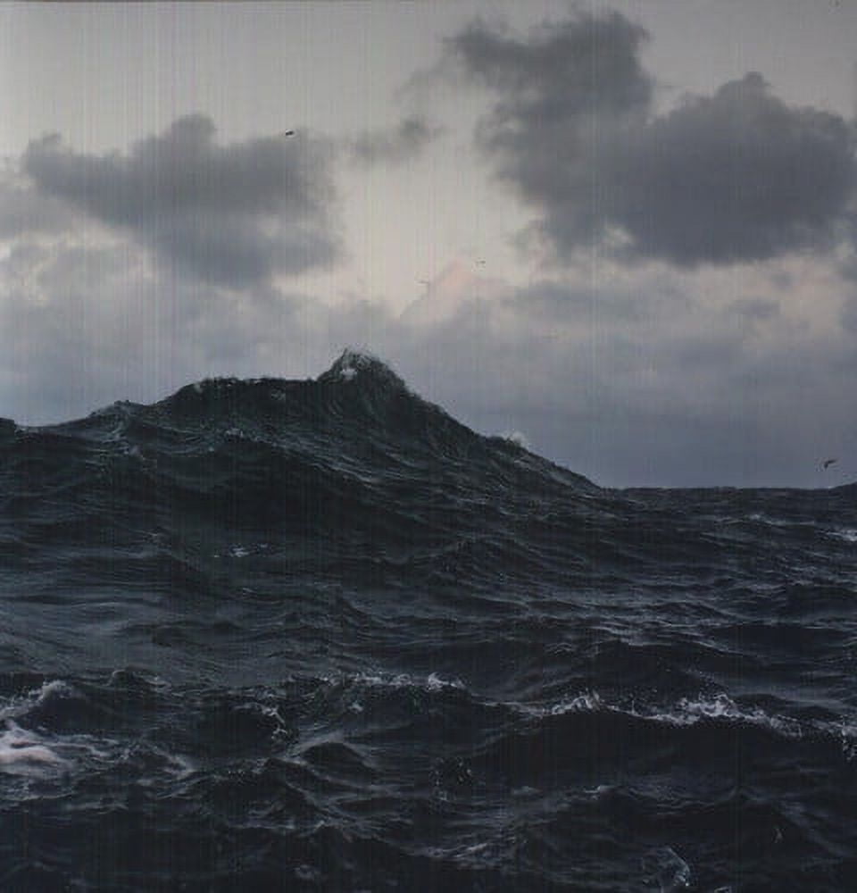 Volcano Choir - Repave - Music & Performance - Vinyl - Walmart Business ...