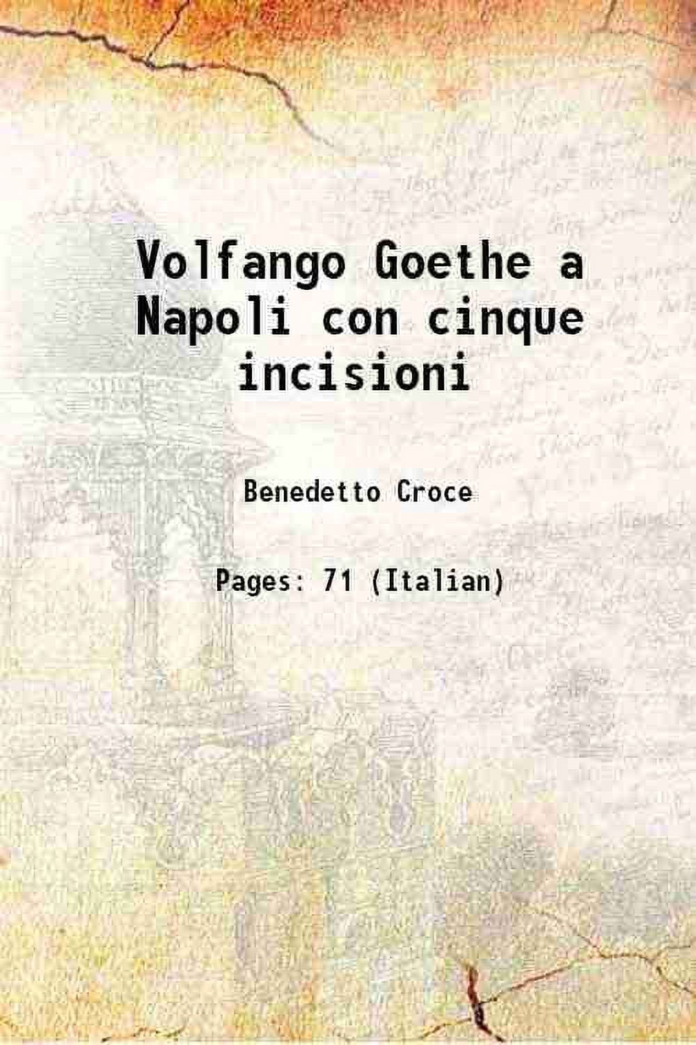 Volfango Goethe a Napoli aneddoti e ritratti con cinque incisioni 1903 ...