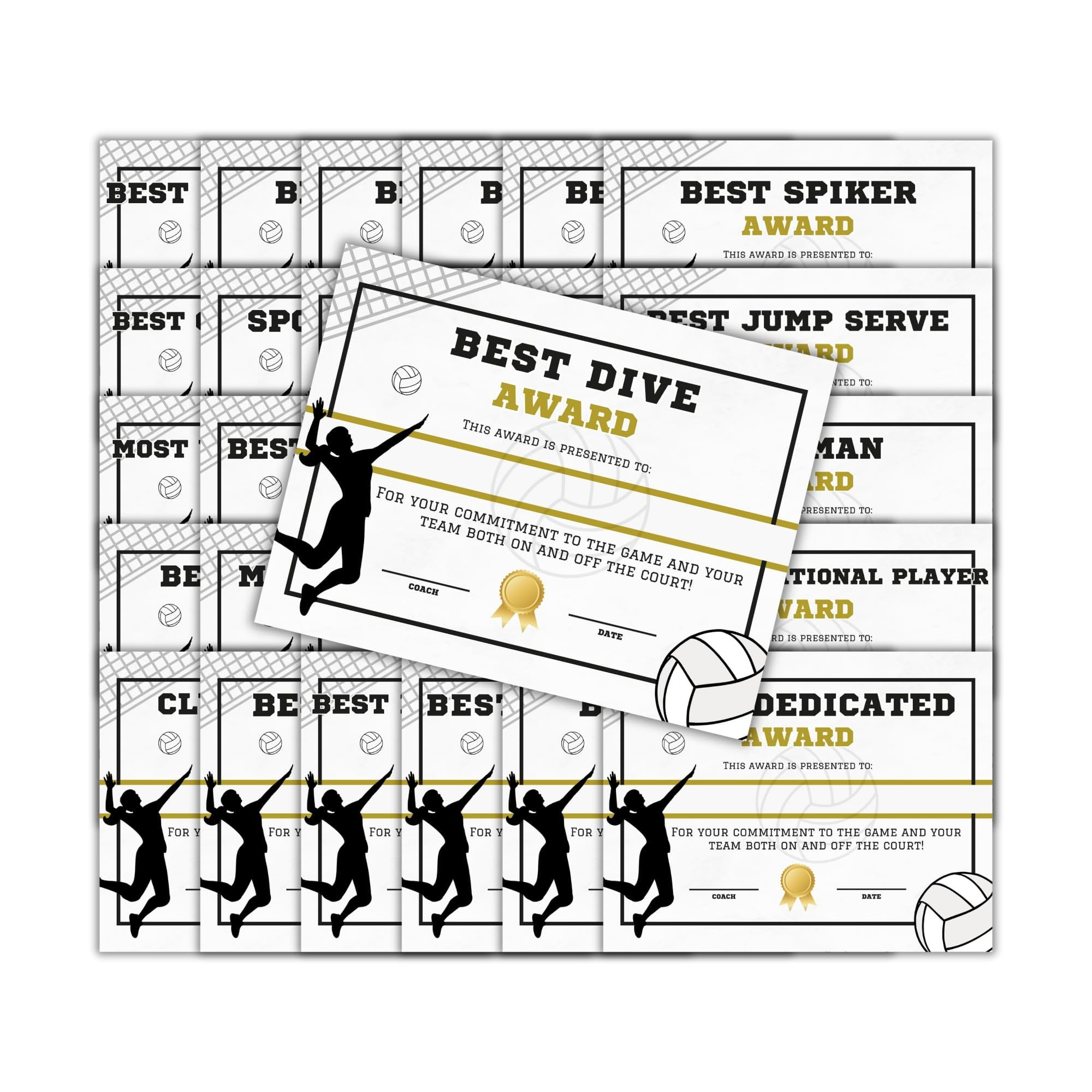 Volleyball Athletic Achievement Awards 31pk Unique 8.5x11 Superlative ...