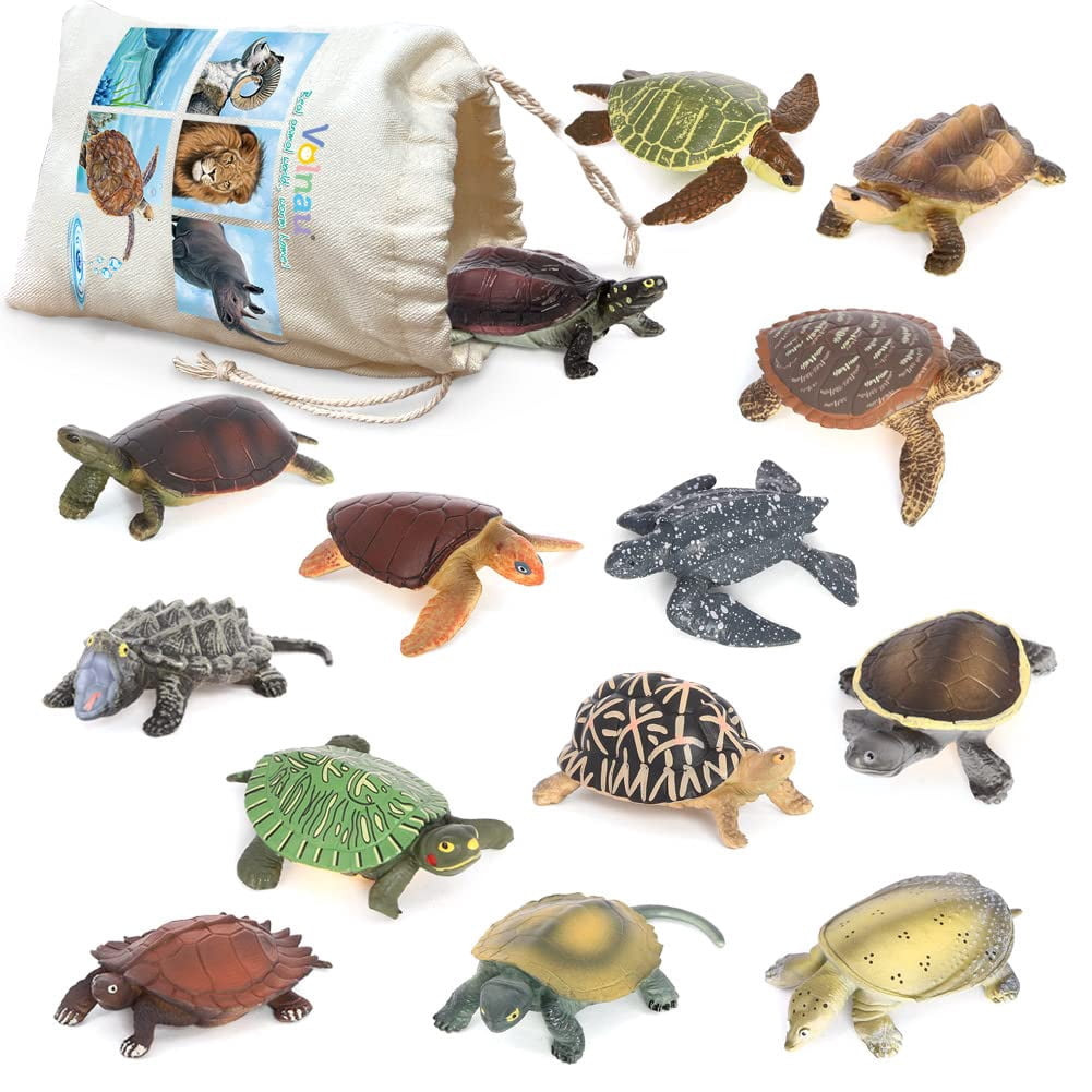 Volnau Mini Sea Turtle Figures 14PCS AIS1 Animal Toys Figurines for ...
