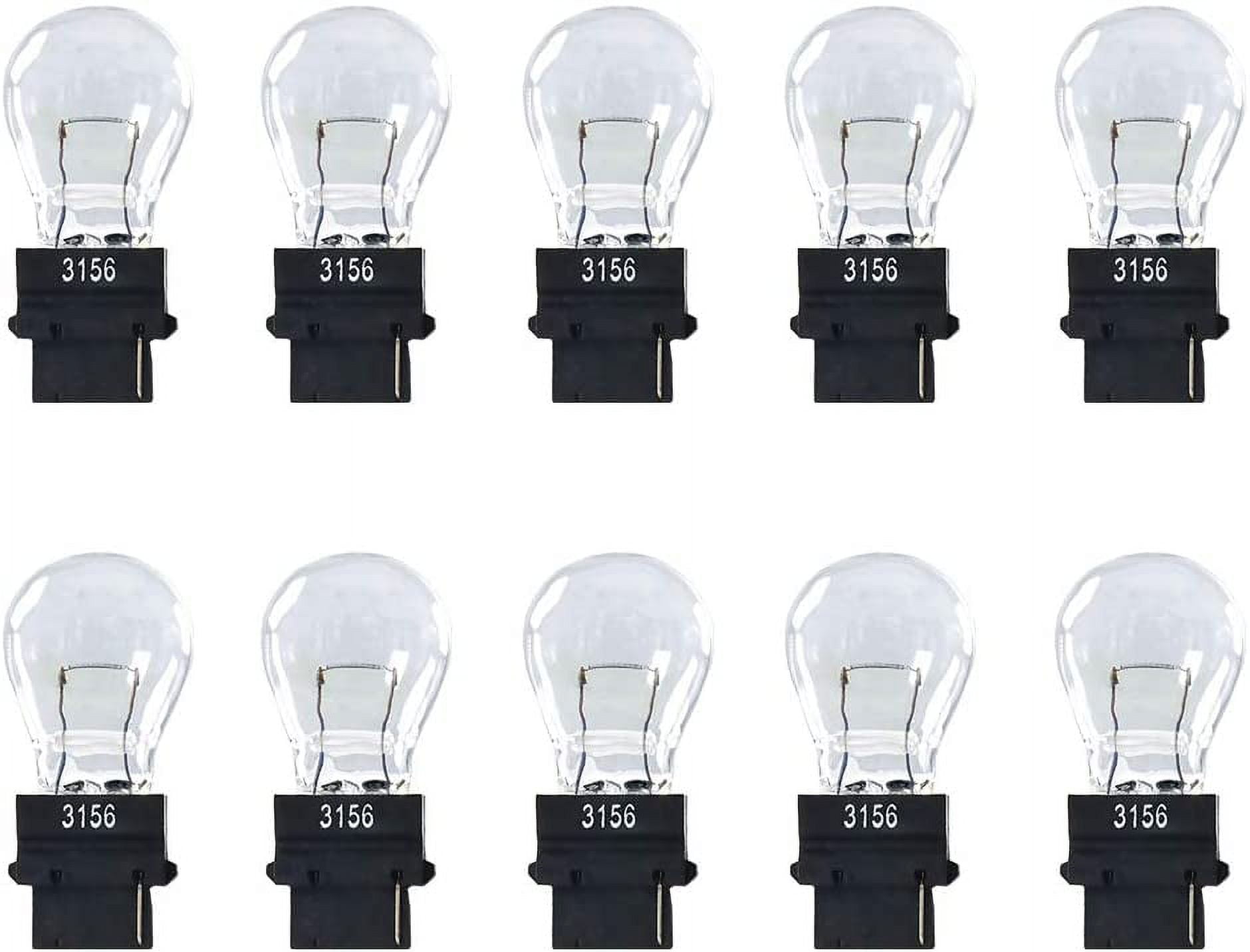 Voltage Automotive 3156 Bulb, Standard Replacement, 10 Pack - Walmart.com