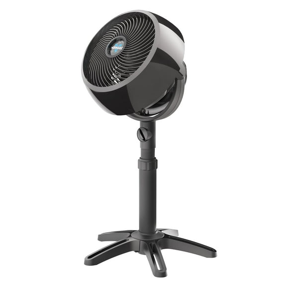 Best Pedestal Fan
